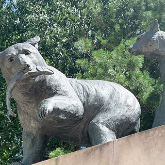 Lincoln Park Zoo Scavenger Hunt | Virgin Experience Gifts