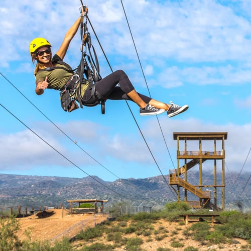 Phoenix: African Safari Zipline Adventure | Virgin Experience Gifts