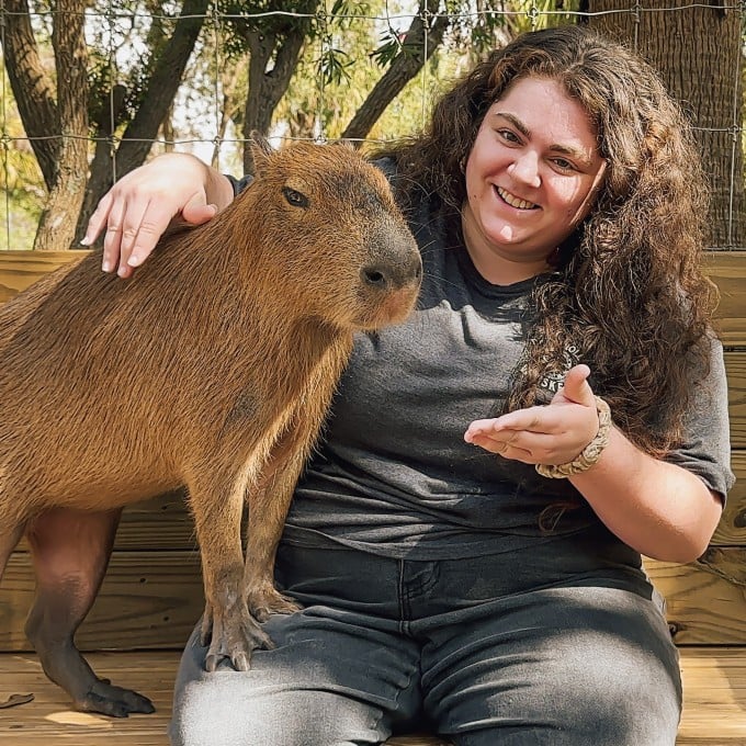Capybara Encounter At The Wild Florida Gator Park Virgin Experience Ts