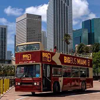1-Day Big Bus Miami Hop-On Hop-Off Tour | Virgin Experience Gifts